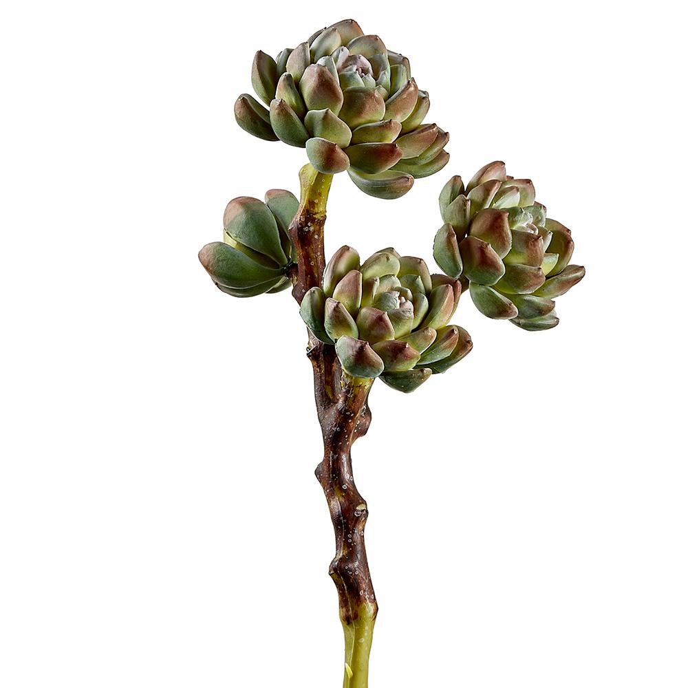 10" Hen and Chicks Pick – FOUND Arcadia