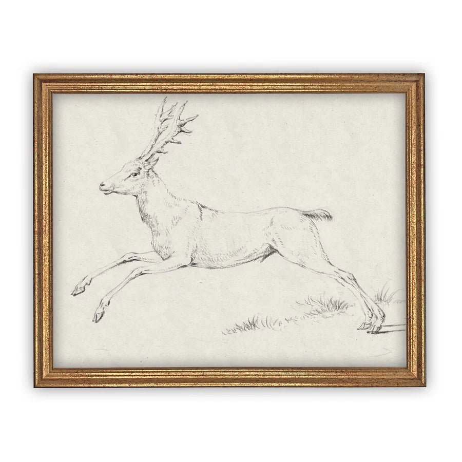 Reindeer – FOUND Arcadia