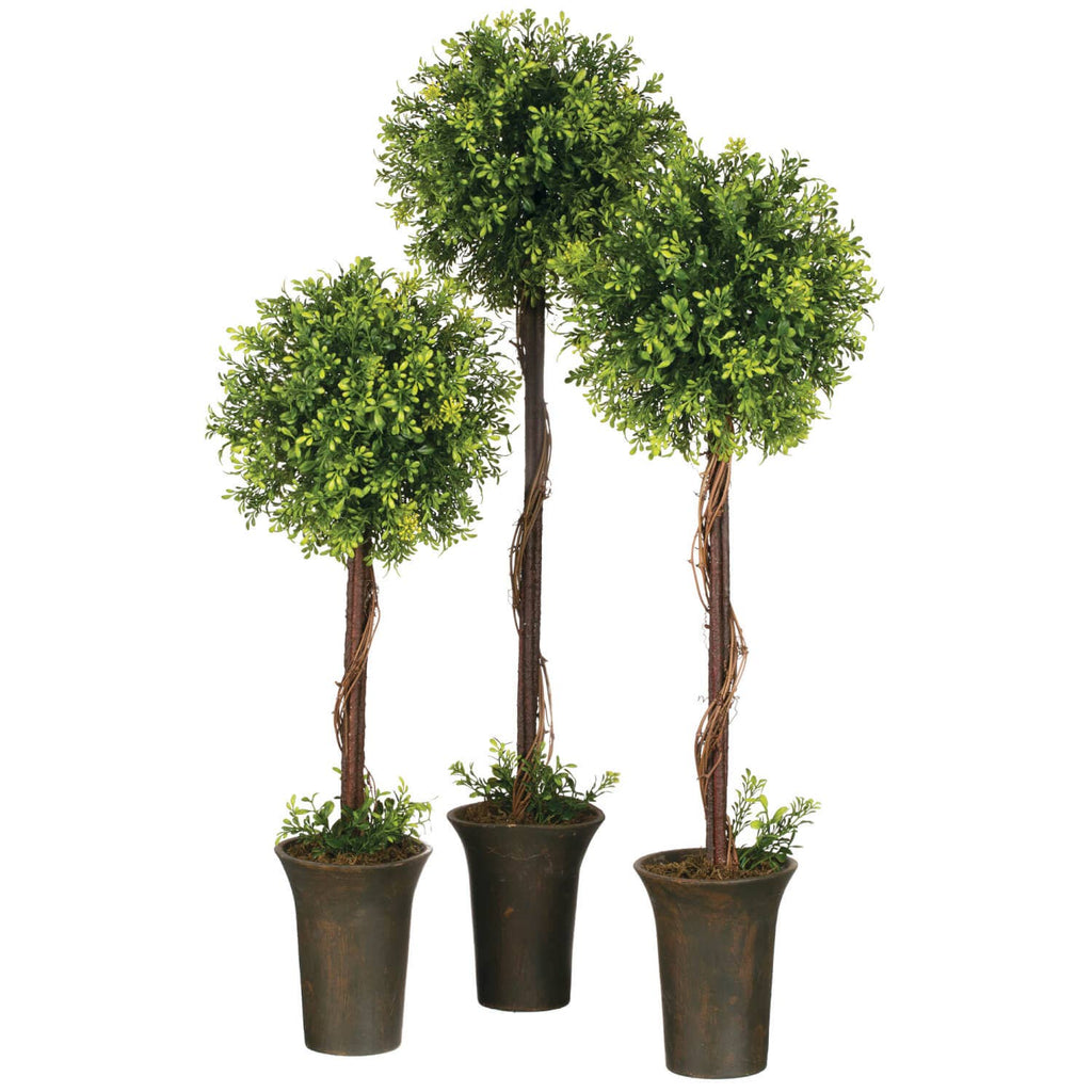 TEALEAF/BERRY TOPIARY TREE – FOUND Arcadia